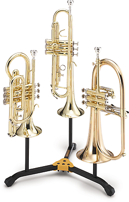 Trumpet family | WindCraft Brass and Woodwind Repair